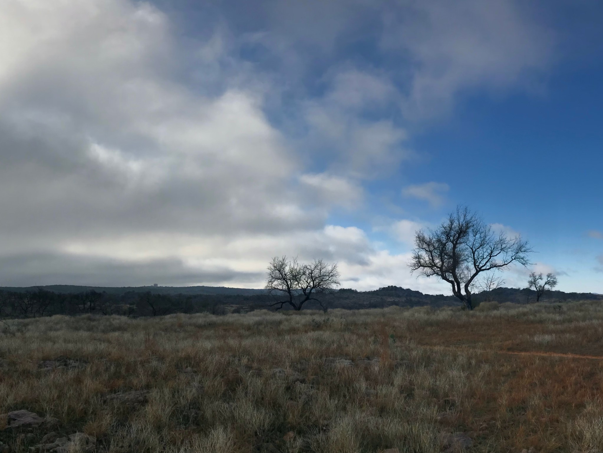 CraveyLaw – Law Practice of Robin T. Cravey